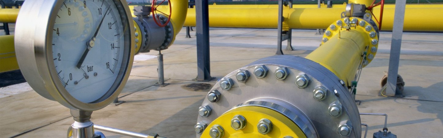 Die Zukunft der Wärmeversorgung Gas- und Fernwärmenetze